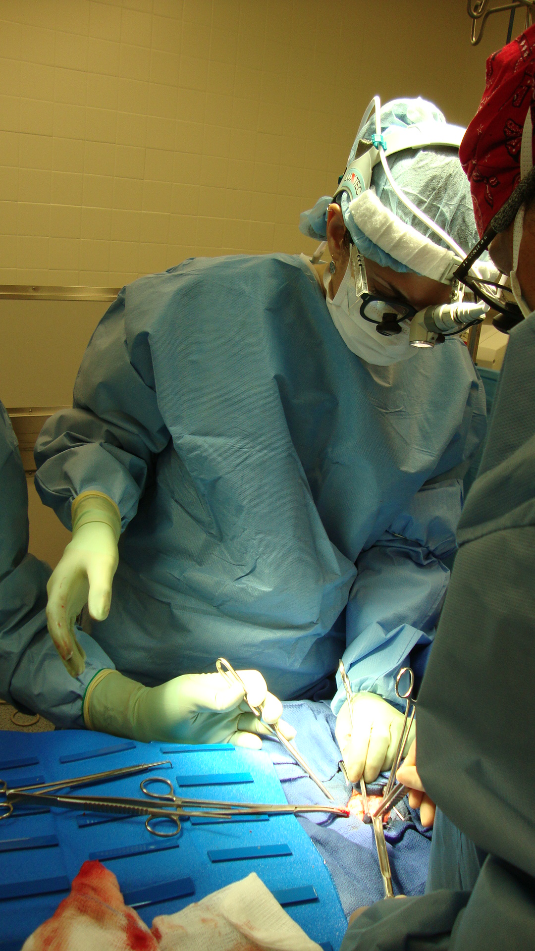 About Dr. Harari | Avital Harari, MD, MBA, MSc, FACS — ENDOCRINE SURGEON